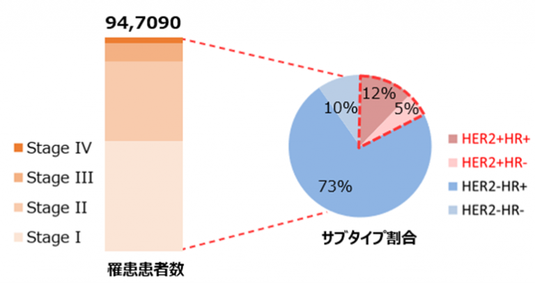 新たな治療セグメント 「HER2低発現」～第60回日本癌治療学会学術集会(JSCO)より～ - サイニクス株式会社