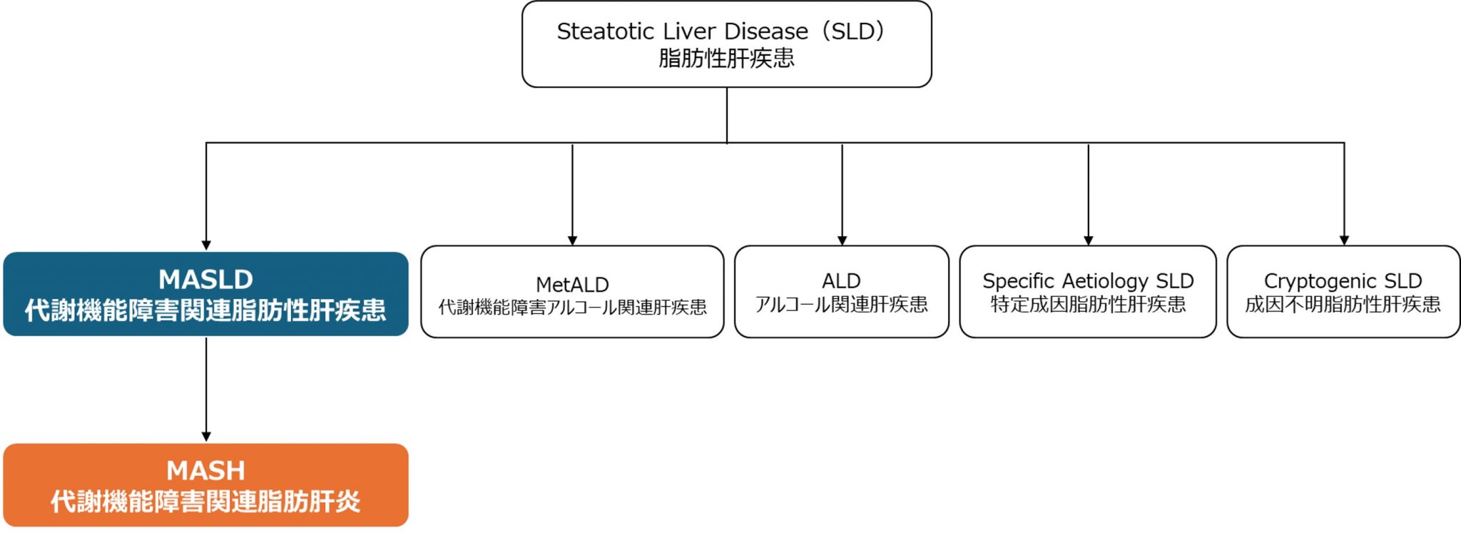 NAFLD、MAFLD、MASLDの診断基準比較や脂肪肝疾患（SLD）の分類をご紹介～ 医薬品市場評価に欠かせない疫学患者数データベース（19 ...